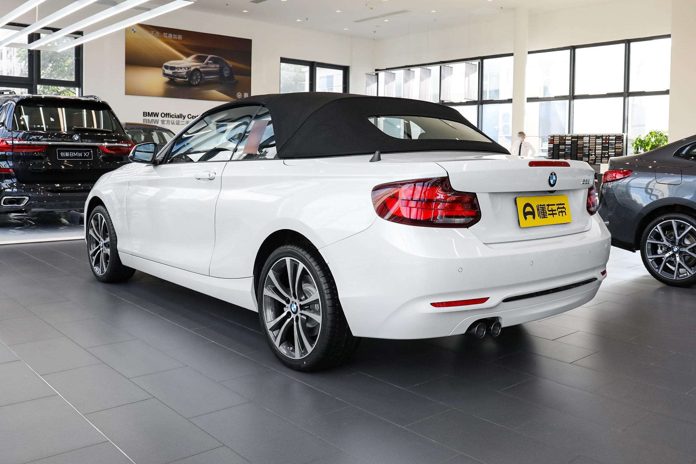 宝马2系 2019款 225i 敞篷轿跑车 运动设计套装图片_宝马_4/91张图片_汽车外观图库_懂车帝