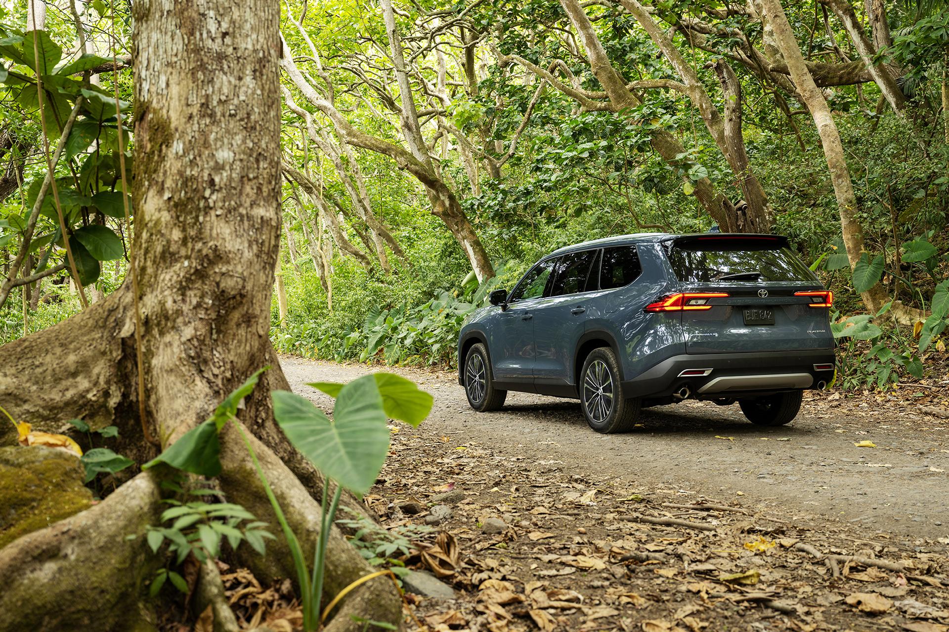 Grand Highlander 2024款 Hybrid MAX Platinum图片_丰田_2/23张图片_汽车官方图库_懂车帝