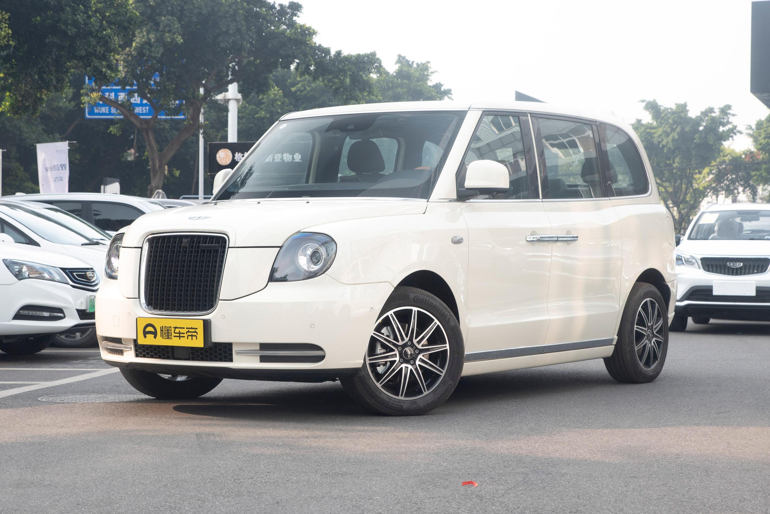 LEVC TX 2023款 增程家庭版图片_LEVC_4/52张图片_汽车外观图库_懂车帝